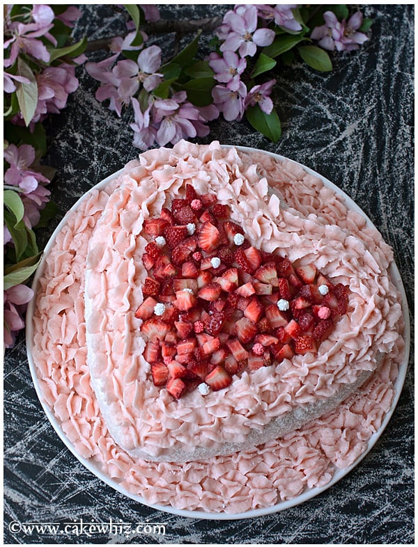 Love at First Bite: The 15 plus Best Valentine's Day Cakes